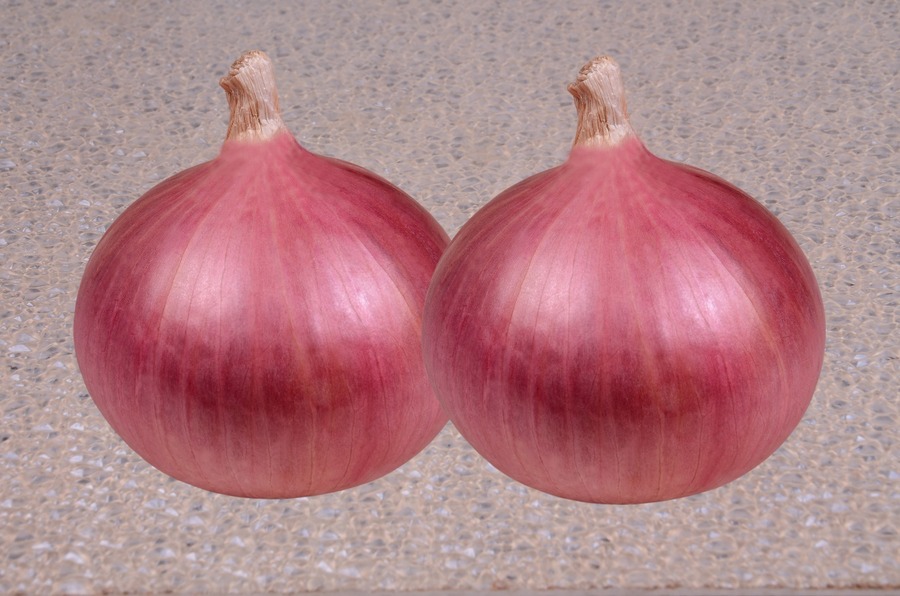 KSP 117 Prasidhi | Kalash Seeds