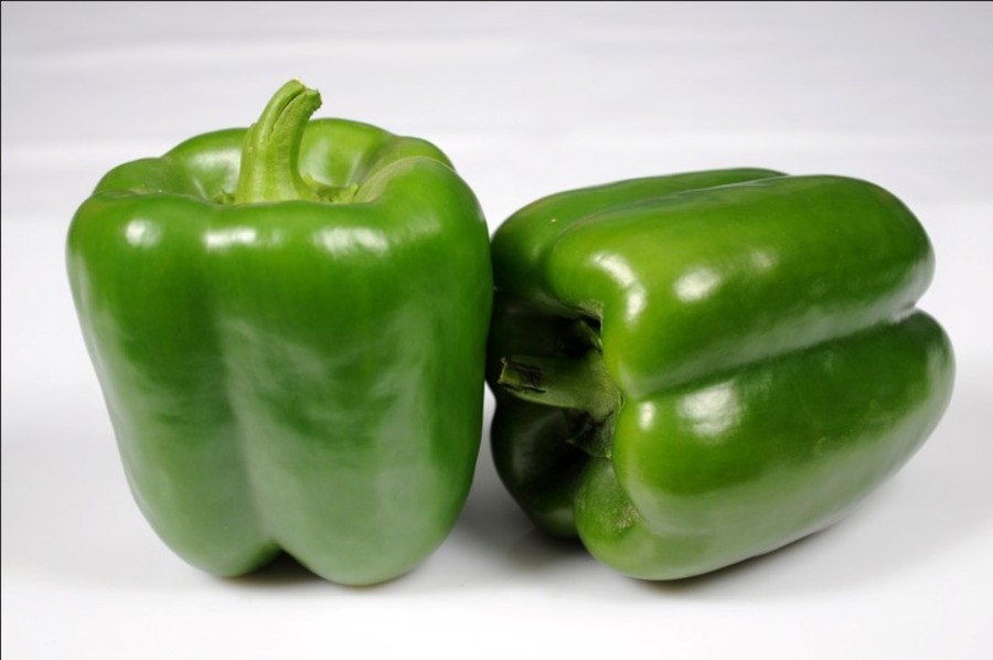 KSP 1601 Primium F1 | Kalash Seeds